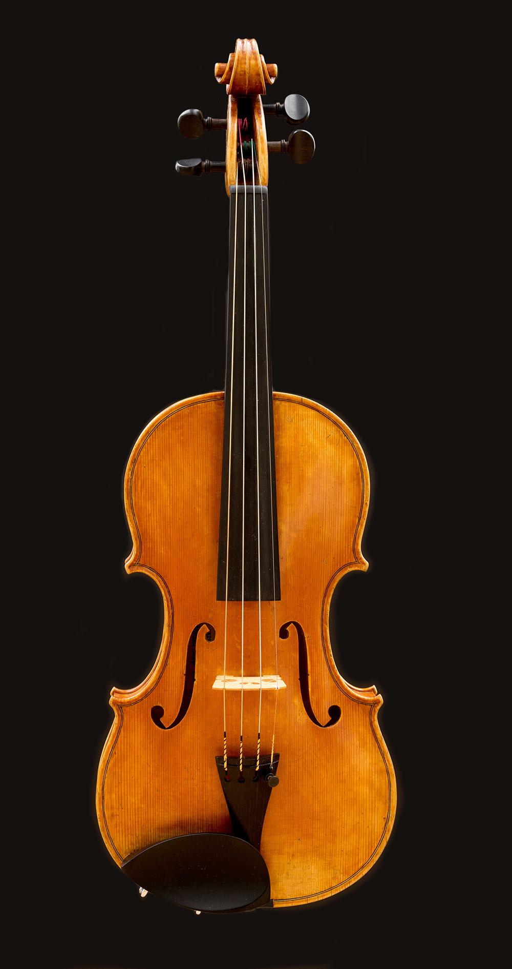 Violins - William Castle